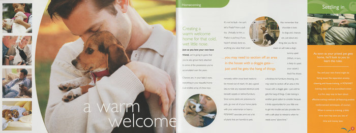 Petsmart by Melissa Giordano at Coroflot.com