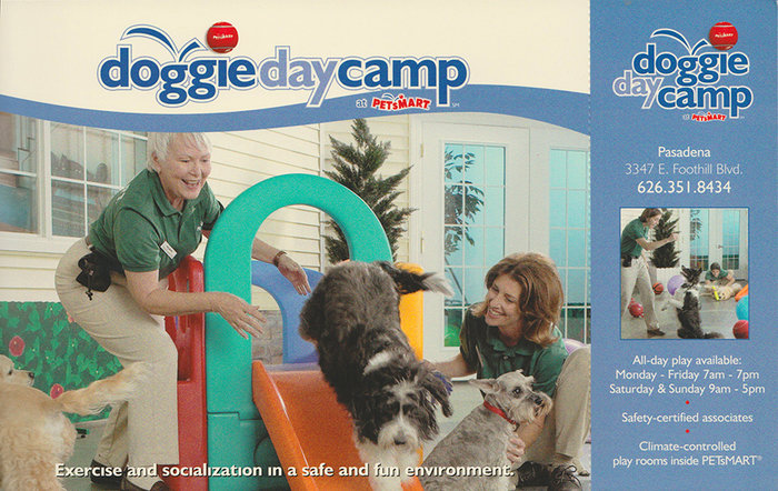 Petsmart by Melissa Giordano at Coroflot.com