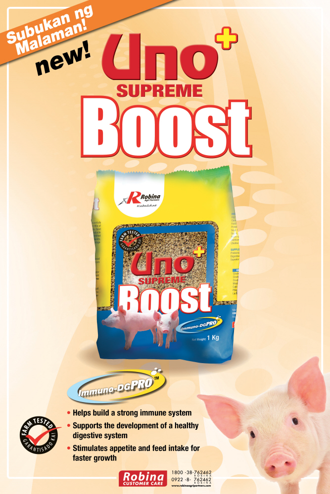 Uno Supreme Boost Campaign by Darwin Sardez at Coroflot.com