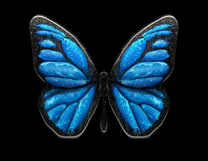 An upload by Donald Russo on Coroflot: to the project Butterflies