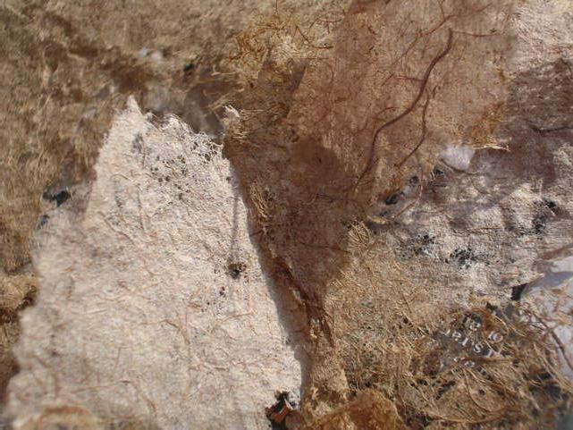 An upload by Poorvi Mathur on Coroflot: to the project Vetiver ...