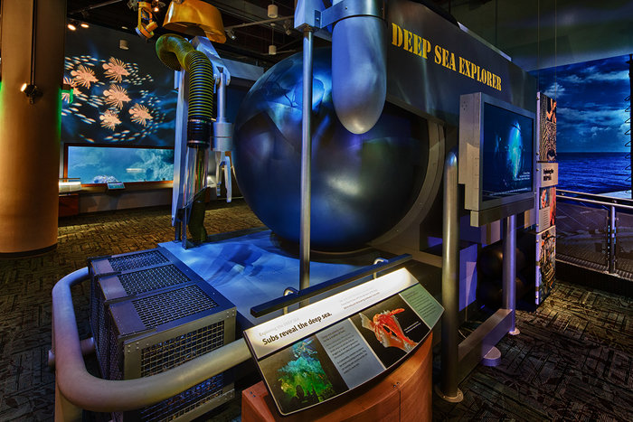 Nature Research Center at North Carolina Museum of Natural Sciences by ...