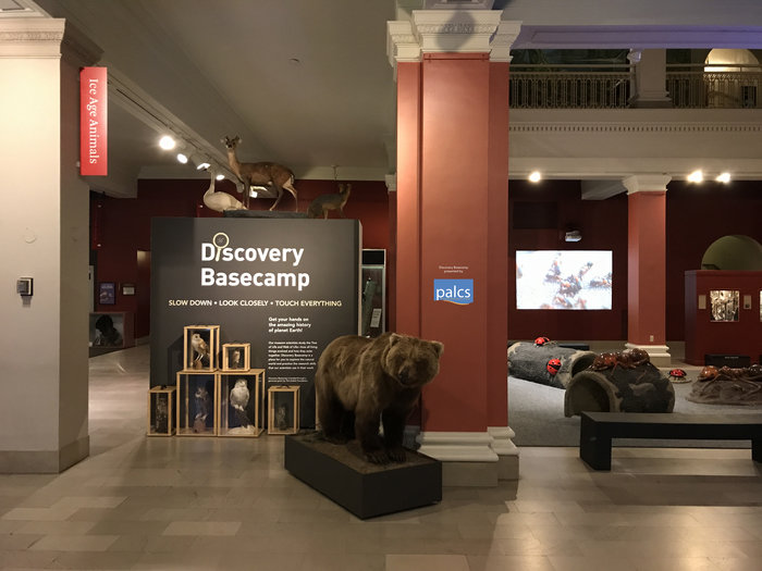 Carnegie Museum of Natural History: 35,000sf galleries renovation over ...
