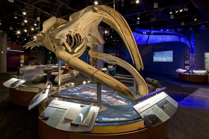 Nature Research Center at North Carolina Museum of Natural Sciences by ...