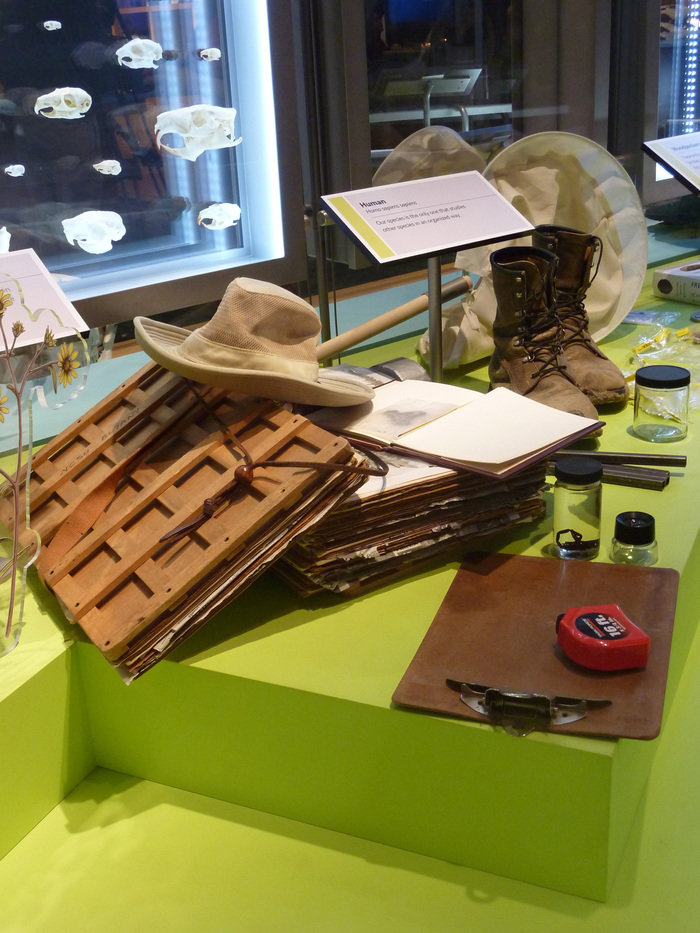 Nature Research Center at North Carolina Museum of Natural Sciences by ...