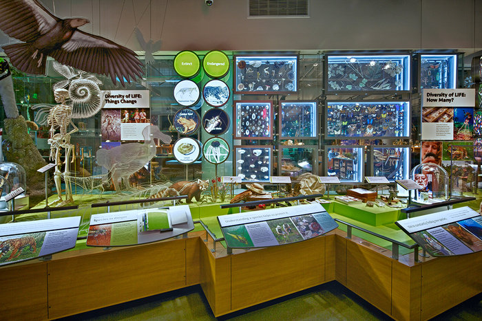 Nature Research Center at North Carolina Museum of Natural Sciences by ...