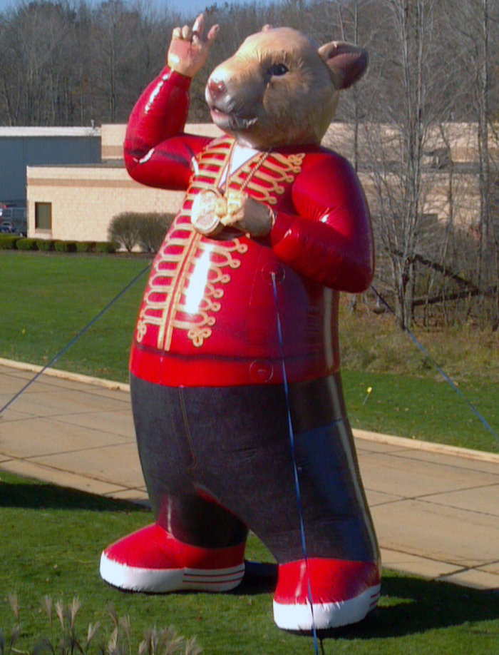 Neil Cox on Coroflot: #KIA 30' Inflatable Red Dancer Hamster for car dealerships.