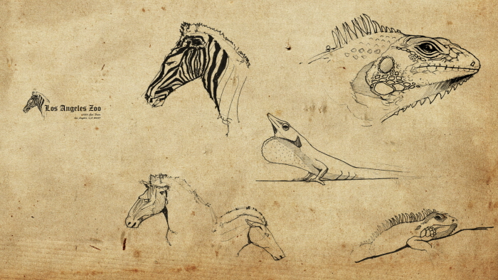 Viscom_Pen Drawing by Jibum Jung at Coroflot.com