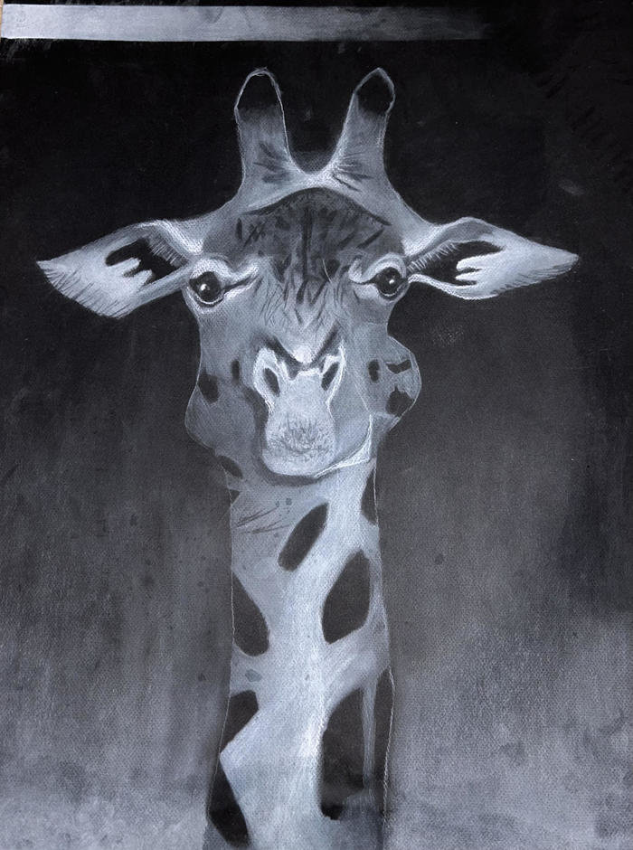 Hand drawn pieces by Matt Finlay at Coroflot.com