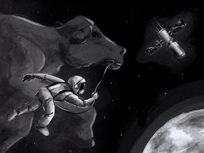 Space Cow Beat Board by Allison Timms at Coroflot.com
