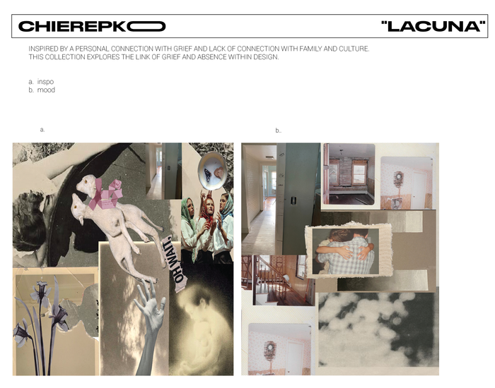 An upload by Katie Chierepko on Coroflot: to the project LACUNA