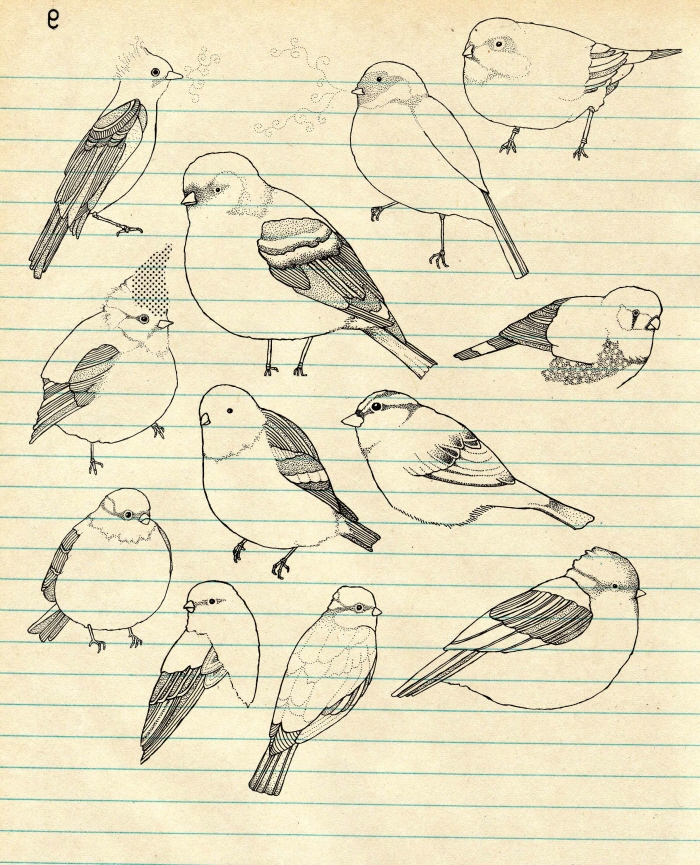 Little Birds by Kate Wilson at Coroflot.com