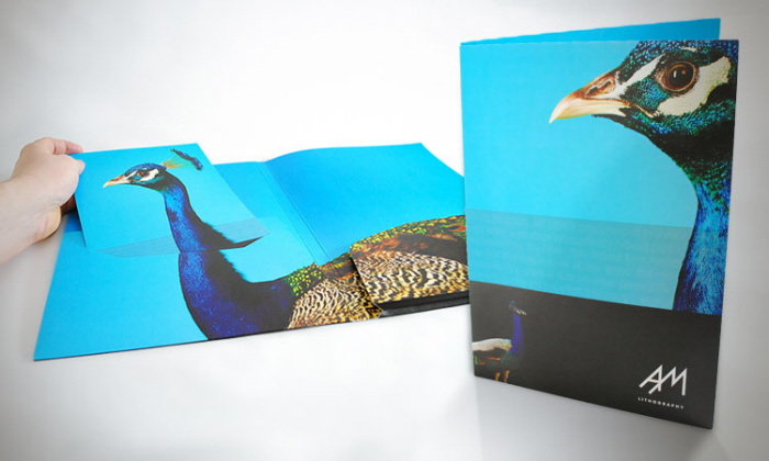 AM Lithography & Packaging by Hugo Amorim at Coroflot.com