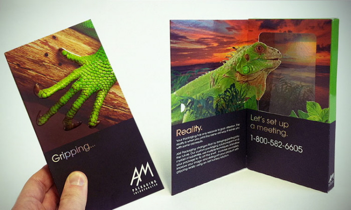 AM Lithography & Packaging by Hugo Amorim at Coroflot.com