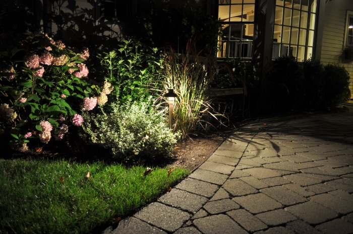 An upload by Gregg Malora on Coroflot: to the project Firefly Landscape ...