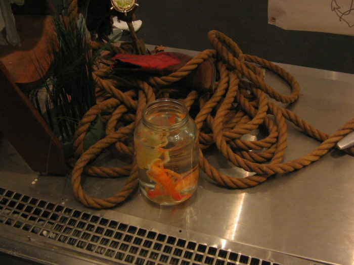 Exhibition Design by Sarah Lapinski at Coroflot.com