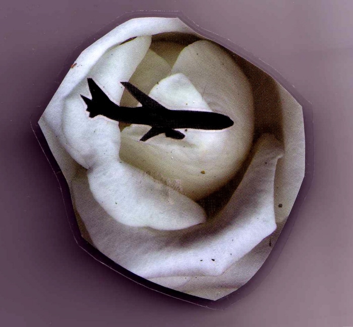 An upload by Sarah Lapinski on Coroflot: to the project Graphic Design