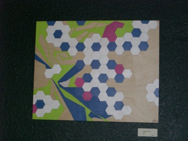 An upload by Lily Cutler on Coroflot: to the project acrylic