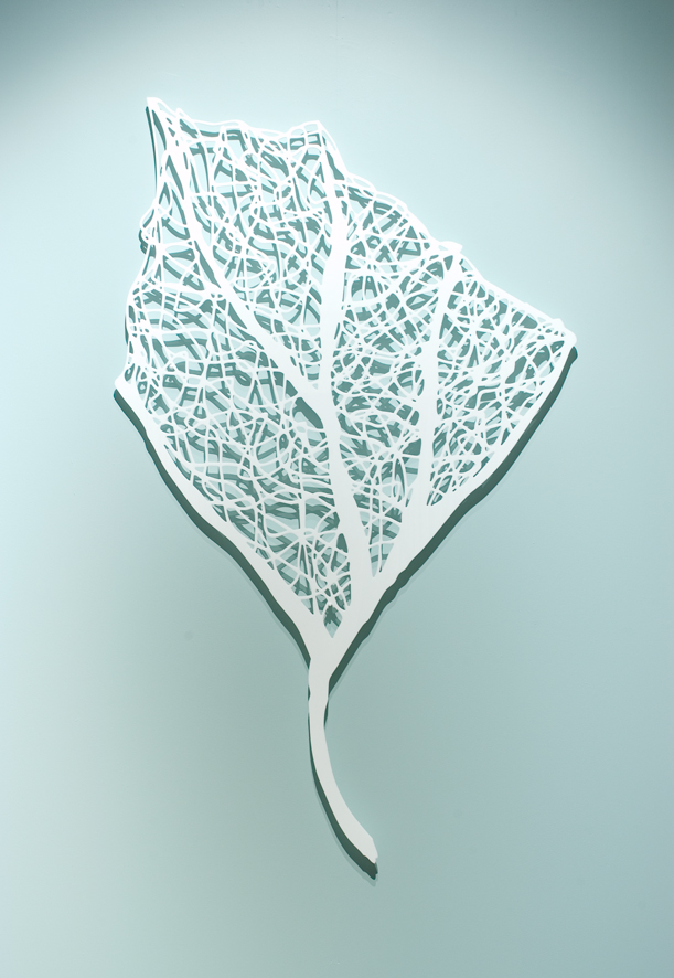 Acrylic cutouts by Stuart Forsyth at Coroflot.com