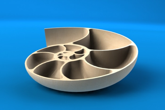 FREELANCE - Nautilus Shell CAD Model by Lilia Subkhankulova at Coroflot.com
