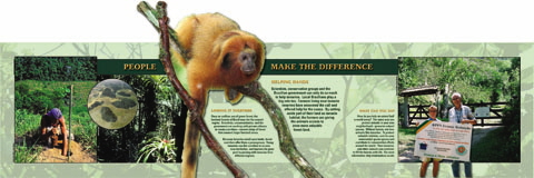 2005-08 SI NZP Golden Lion Tamarin Exhibit by Hank Grasso at Coroflot.com