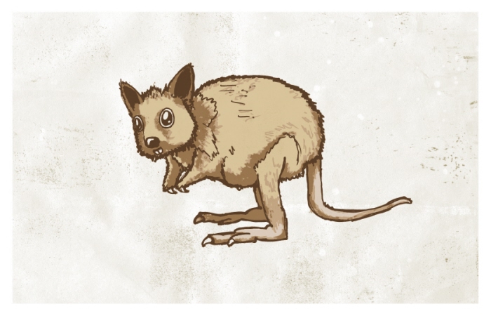 Illustration Projects by James Brooks at Coroflot.com