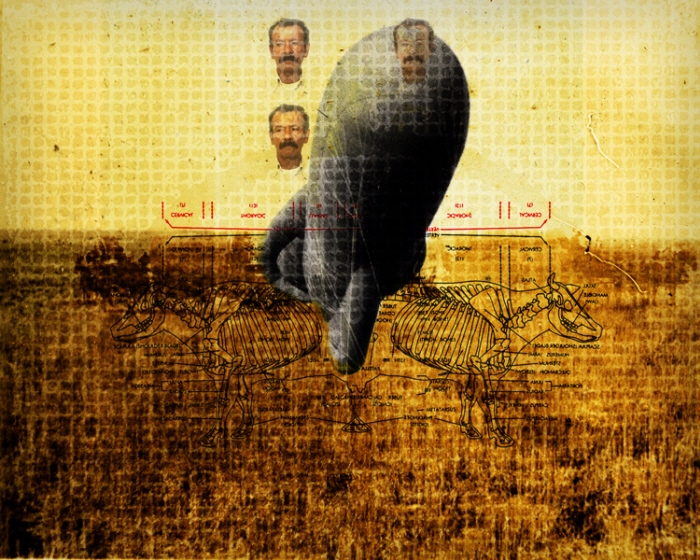 An upload by Nil Ultra on Coroflot: to the project 08+01