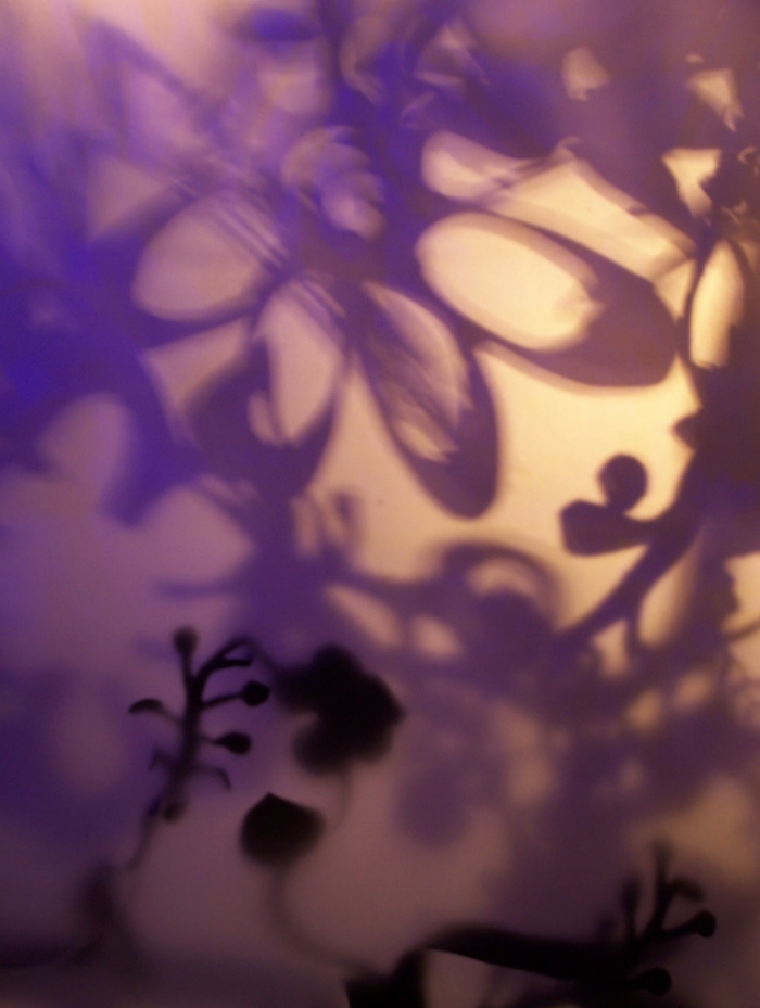 shadowplay by Jakki Carton at Coroflot.com