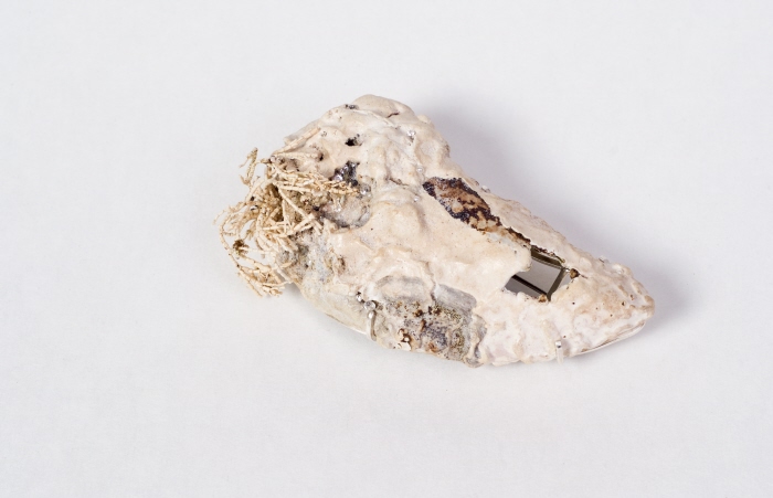 Beauty Overlooked by Amber Chesebro at Coroflot.com