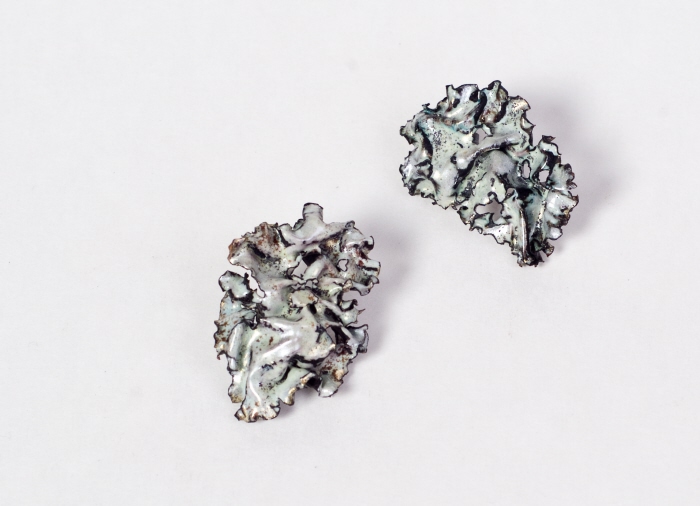 Beauty Overlooked by Amber Chesebro at Coroflot.com