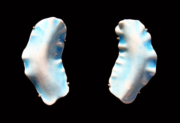 2007-2008 by Amber Chesebro at Coroflot.com