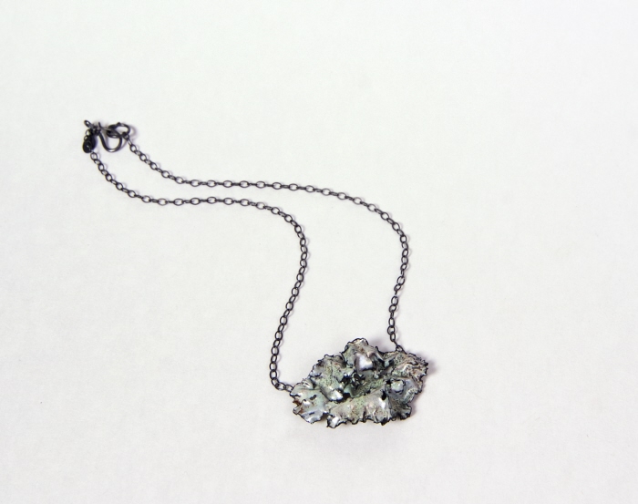 Beauty Overlooked by Amber Chesebro at Coroflot.com