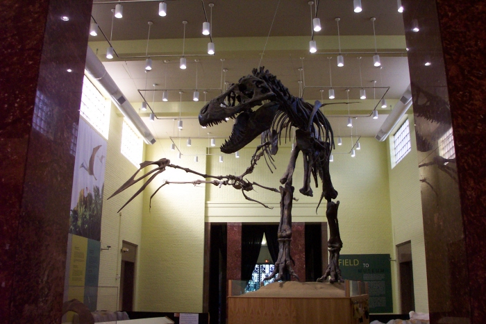 Project installation - Dinosaurs by Paul Vinson at Coroflot.com