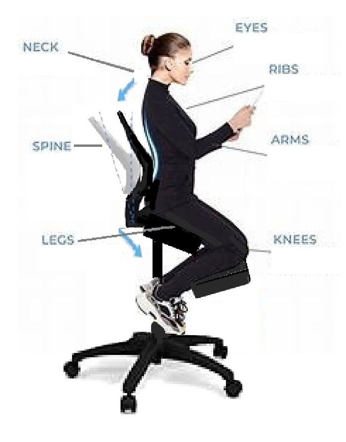Zen Engineering Executive Balans Office Chair & Chaise Loungers Design ...
