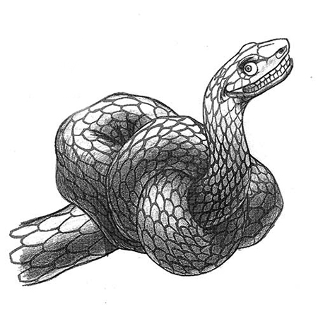 Comps and Development by Norm Quiros at Coroflot.com