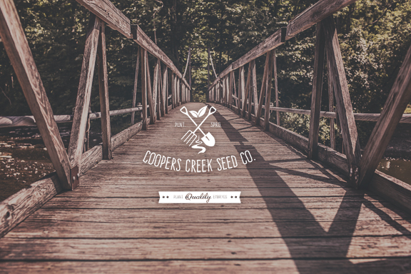 Logo Creations by Jack Macaluso at Coroflot.com