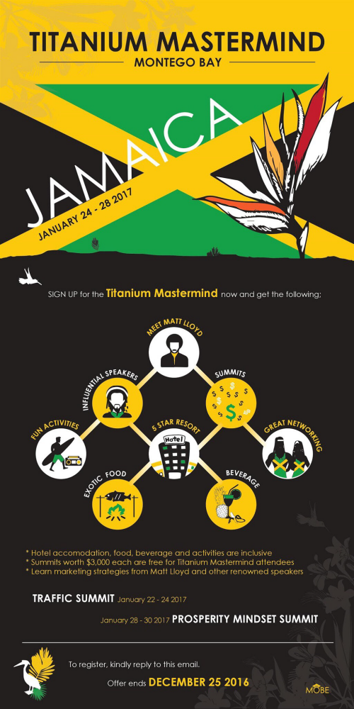 Mastermind Infographic Posters 2016-2017 by Tati A at Coroflot.com