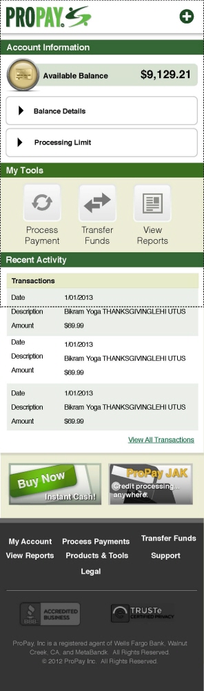 ProPay Responsive Account Dashboard by Christian Larsen at Coroflot.com
