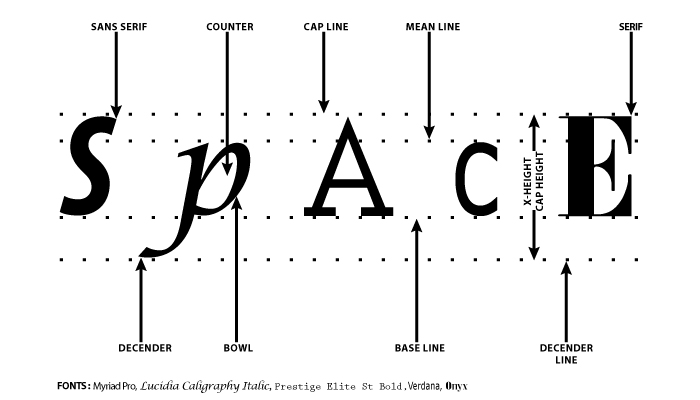 Anatomy Of Type by Michael Wolf at Coroflot.com