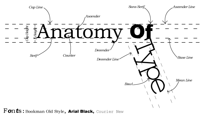 Anatomy Of Type by Michael Wolf at Coroflot.com
