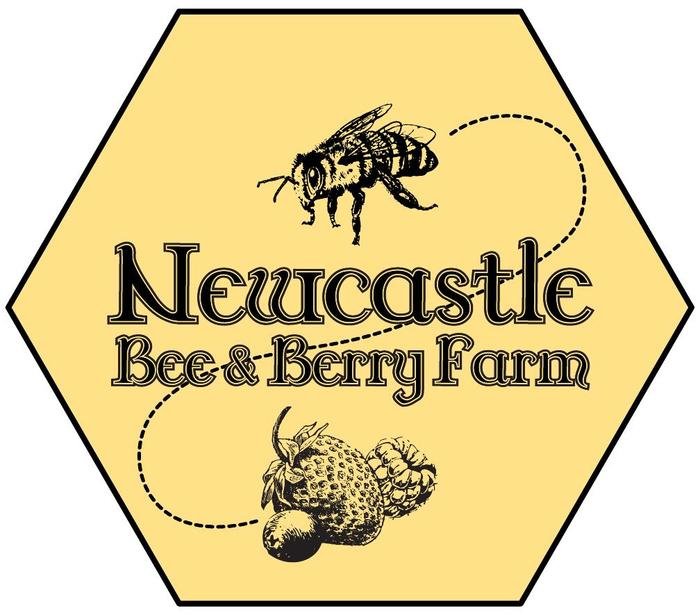 Newcastle Bee & Berry Logo Evolution by Gail S at Coroflot.com