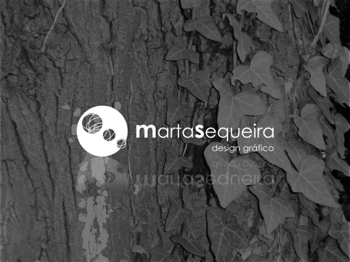 An upload by Marta Sequeira on Coroflot: to the project design