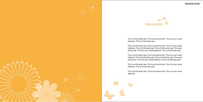 Publication - Brand Book - Dreamline by Shreya Banerjee at Coroflot.com
