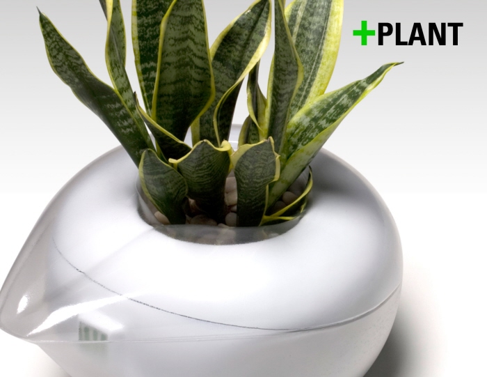 An upload by Poom Puttorngul on Coroflot: to the project Plus Plant