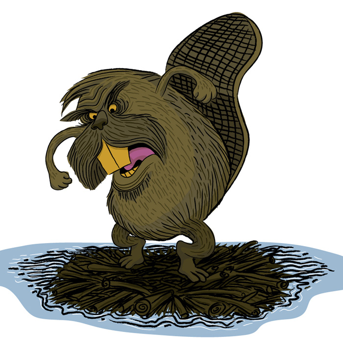 Illustration by Scott Grandon at Coroflot.com