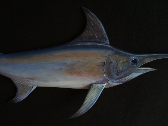 An upload by eddie forbes on Coroflot: to the project Miami Swordfish ...