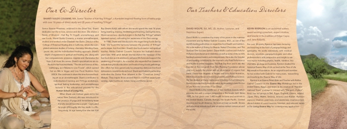 Tree of Life Brochure by Amy Hillberg at Coroflot.com