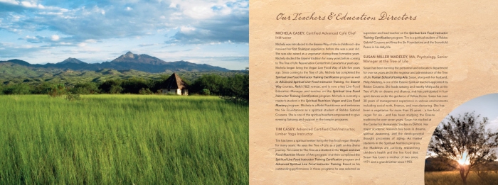 Tree of Life Brochure by Amy Hillberg at Coroflot.com