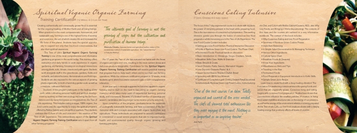 Tree of Life Brochure by Amy Hillberg at Coroflot.com