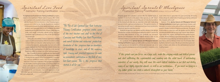 Tree of Life Brochure by Amy Hillberg at Coroflot.com